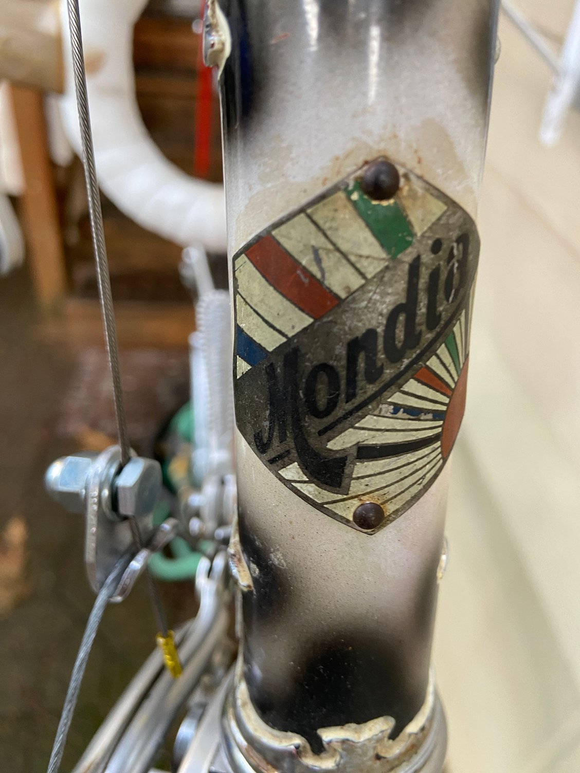 A New Senior Citizen in the Community - Bike Forums