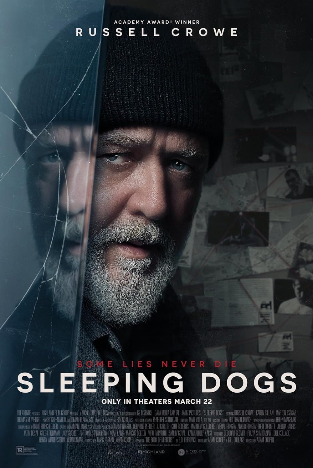 Sleeping Dogs (2024, D: Cooper) -- S: Russell Crowe, Karen Gillan - DVD ...