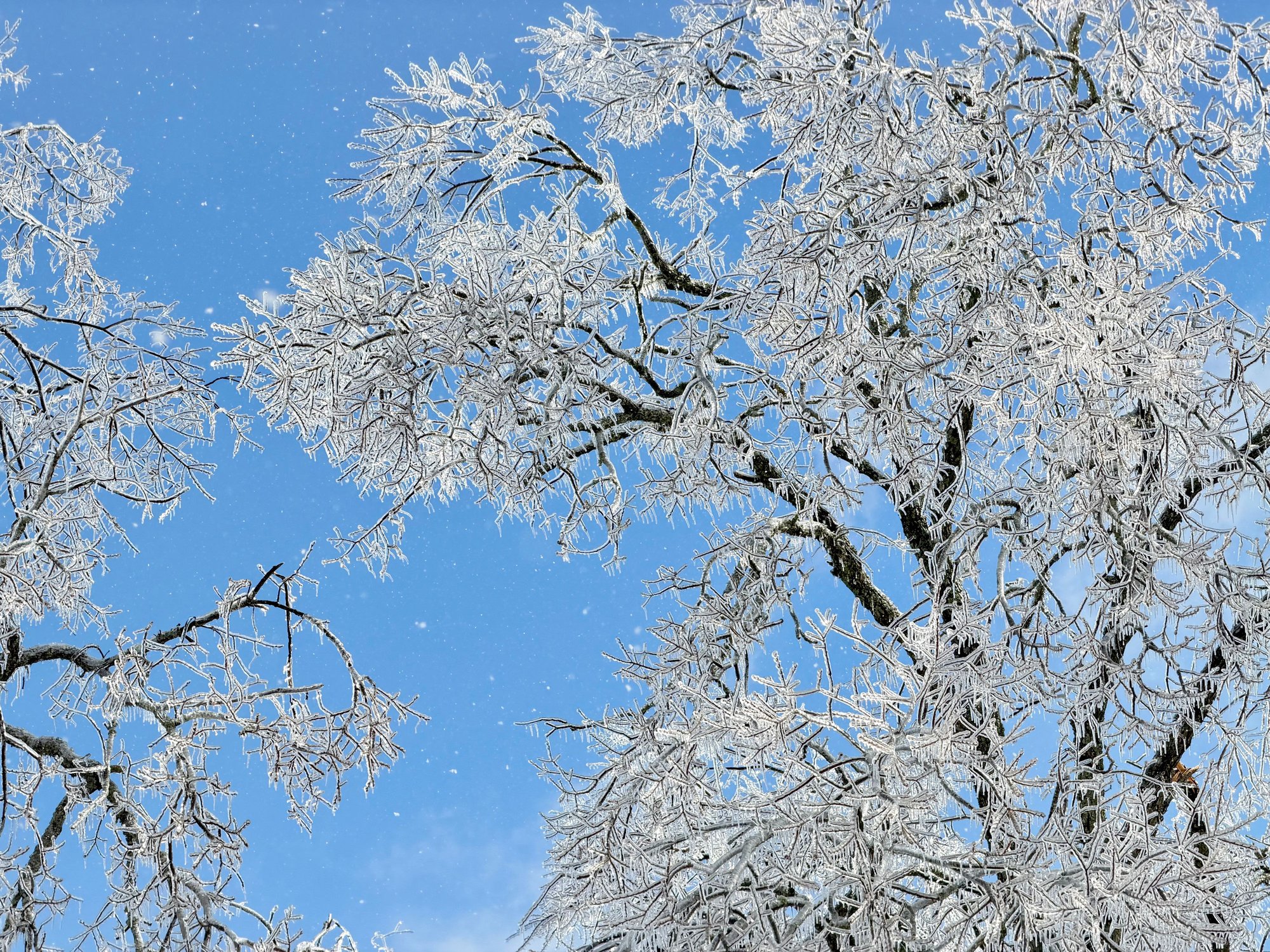 What did you do to your 996TT today? V2.0 - Page 183 - Rennlist ...