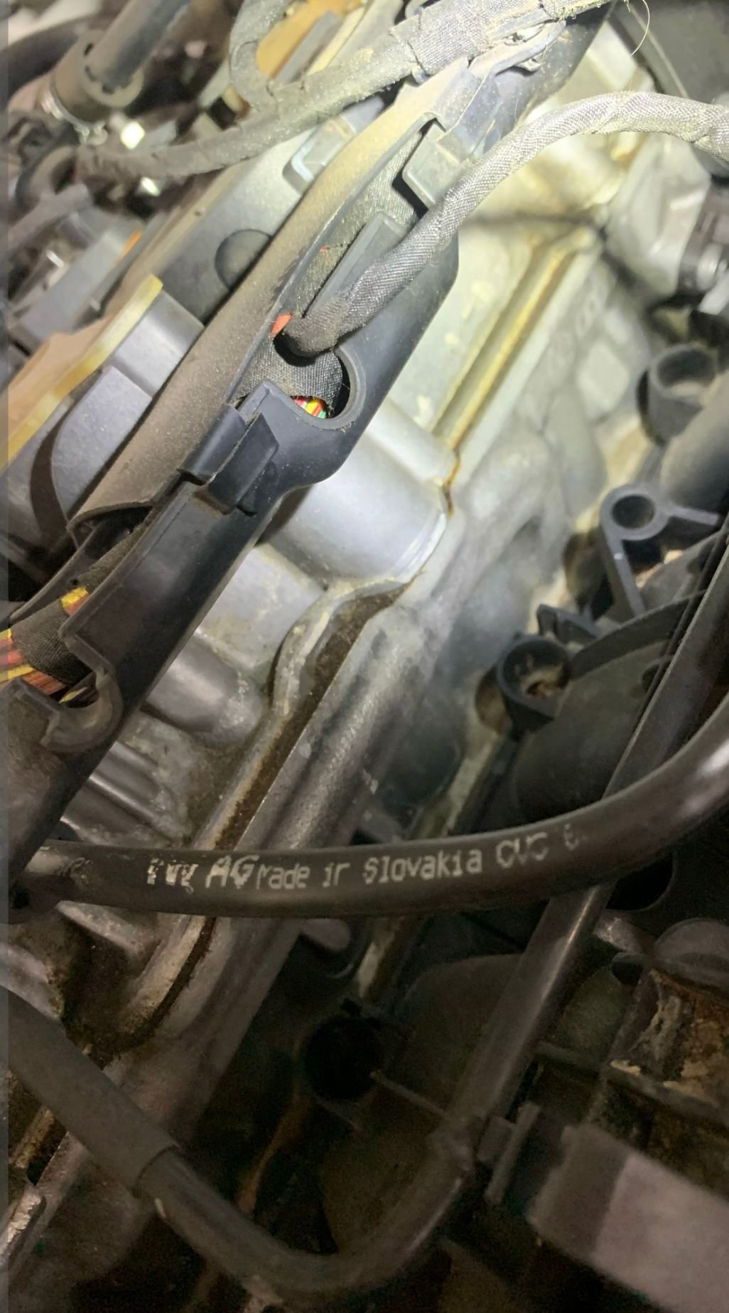Leaking Engine Mounts and Valve Covers - AudiWorld Forums