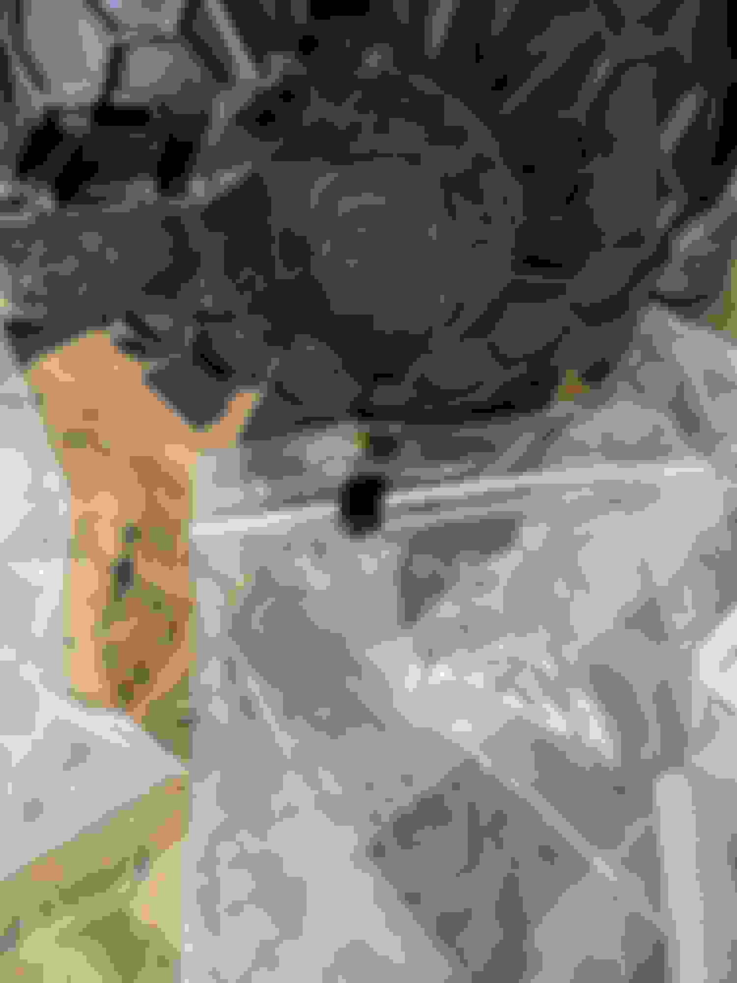 Motor Mount - OEM, O34 solid, or Rock Auto? - Page 2 - AudiWorld Forums