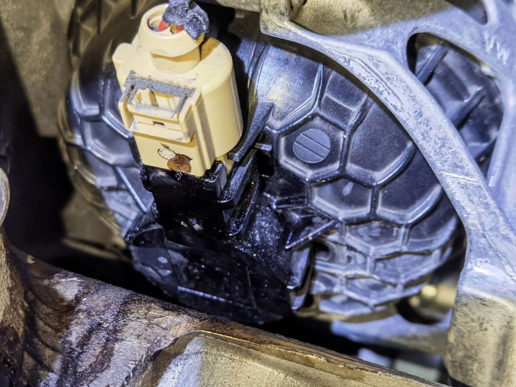 Drive-side motor mount leaking - Page 7 - AudiWorld Forums