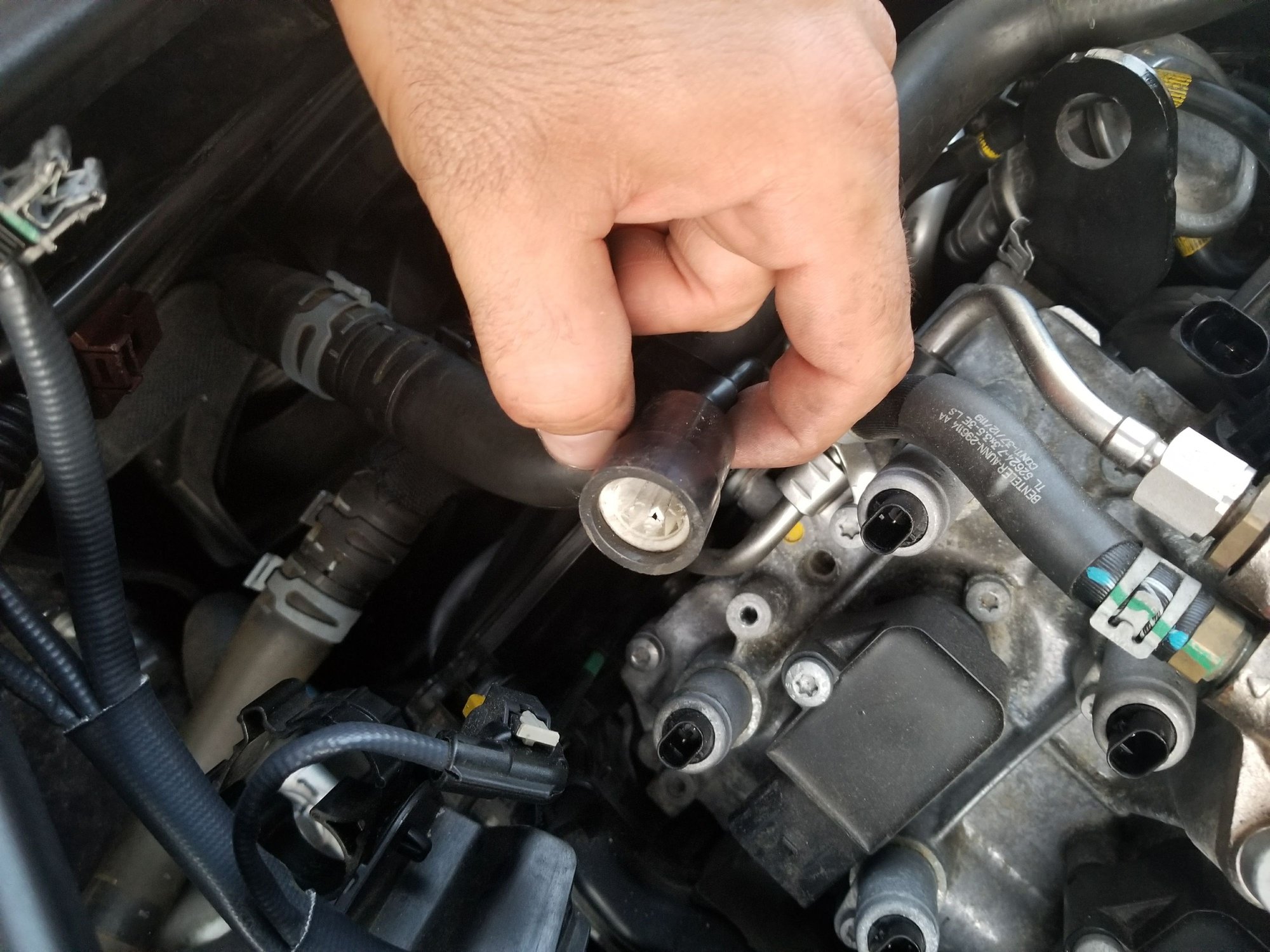 Vacuum hose/connection? - AudiWorld Forums