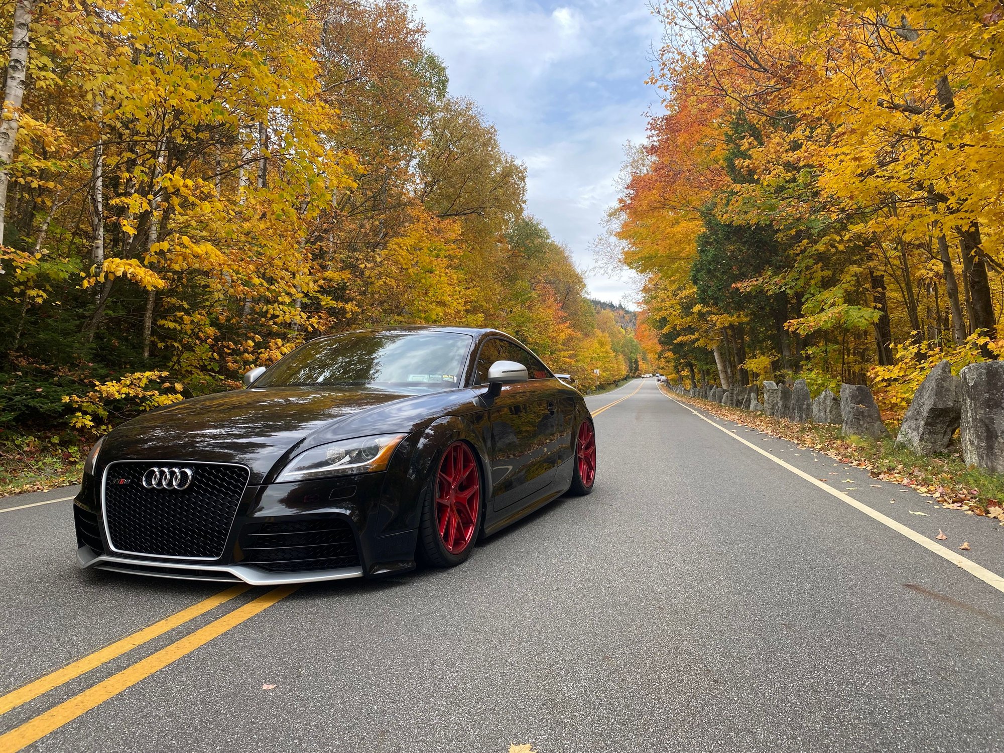 New to the forum - AudiWorld Forums