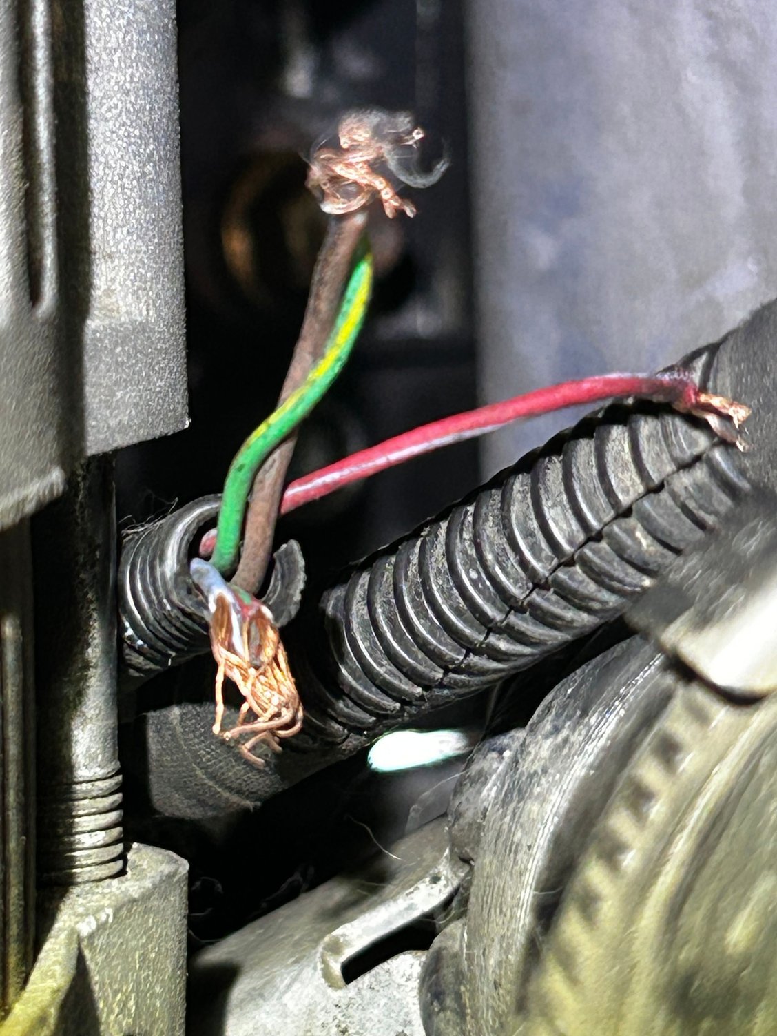 2015 Q5 TDI Oil Level Sensor Wiring (Rodent) - AudiWorld Forums