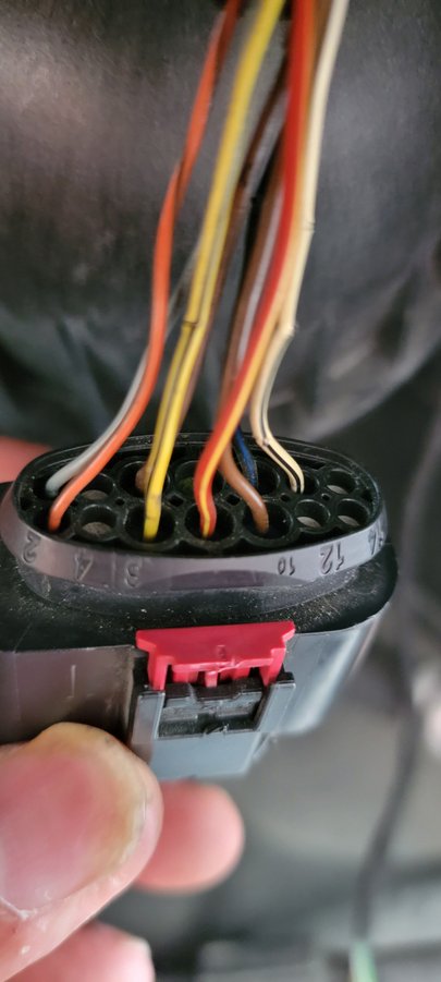 Wiring Help! - AudiWorld Forums