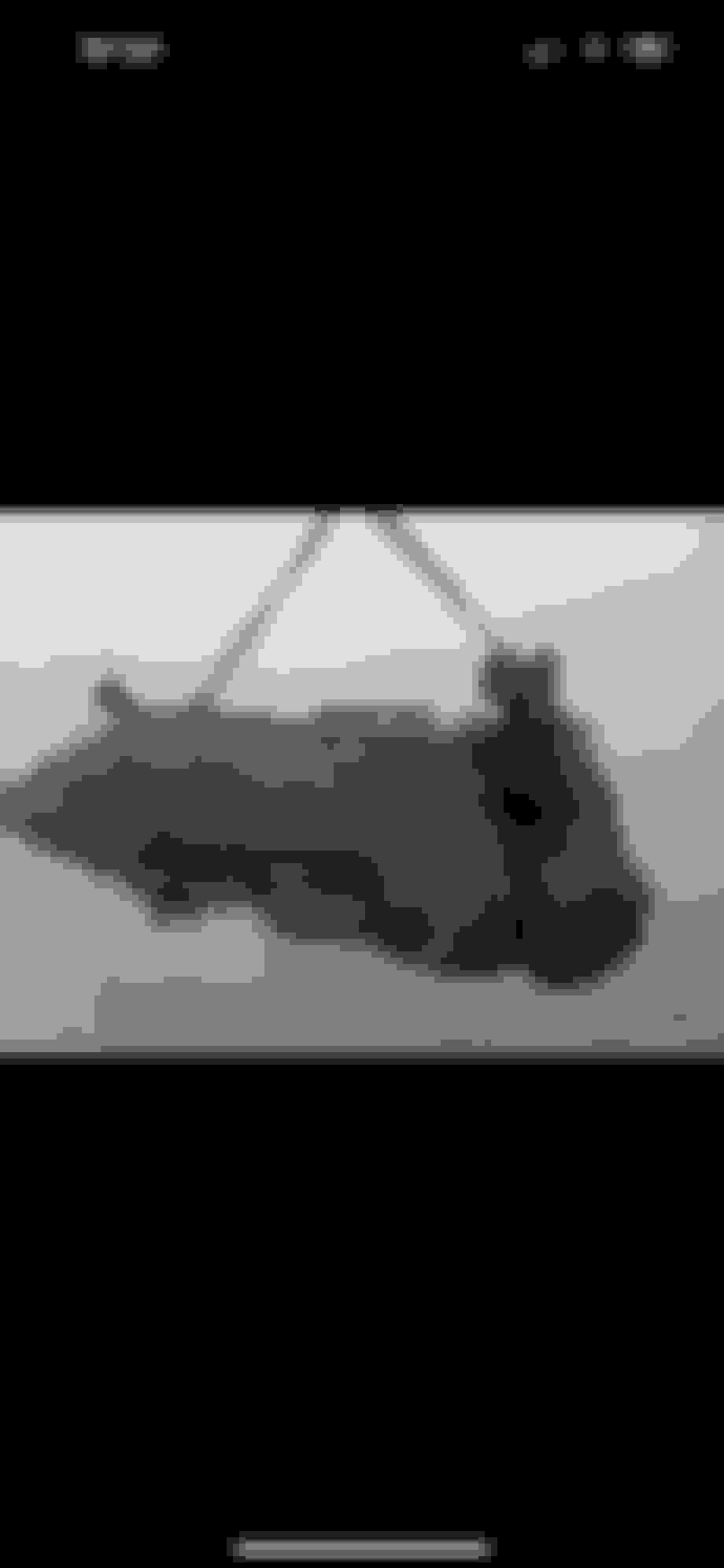 Font & Rear diff & transfer case fluid change? - Page 2 - AudiWorld Forums