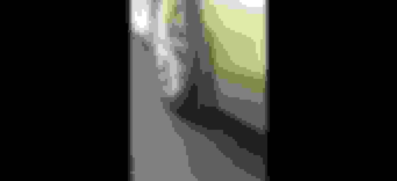 ES350 2025 mud guards - ClubLexus - Lexus Forum Discussion