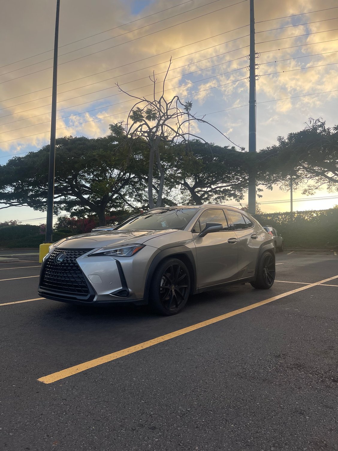 Lexus UX Godspeed lowering springs (+updates on Miko) - ClubLexus ...
