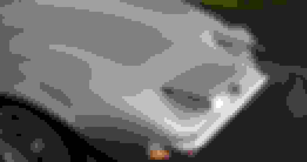 C3 Lazy eyes mod - CorvetteForum - Chevrolet Corvette Forum Discussion