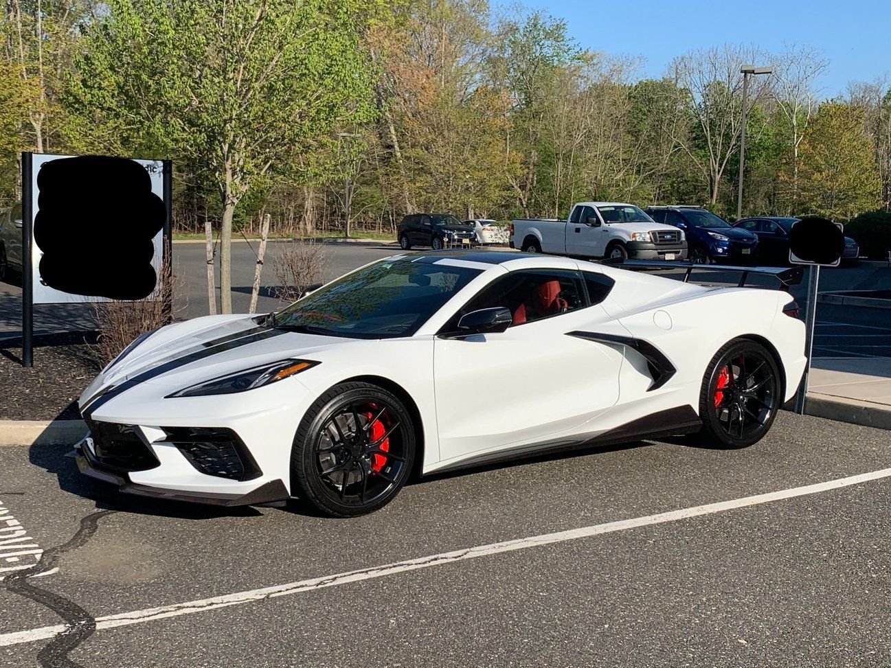 FS (For Sale) OEM Exposed Carbon Fiber Ground Effects - PPF, Scrape ...