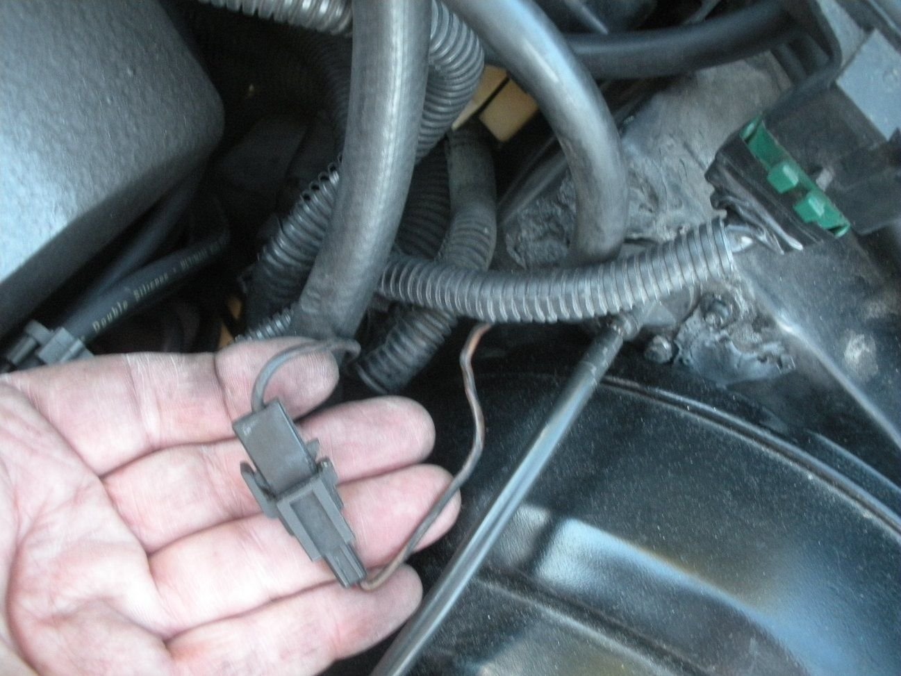 1982 Timing Where is EST Disconnect - CorvetteForum - Chevrolet ...