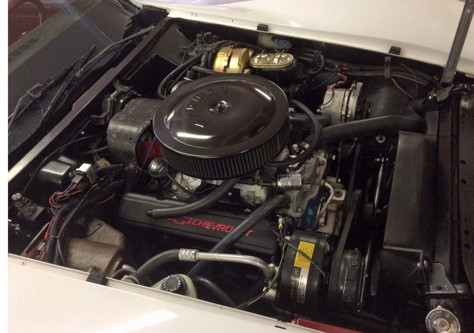 Share your C3 Engine Compartment - Page 3 - CorvetteForum - Chevrolet ...