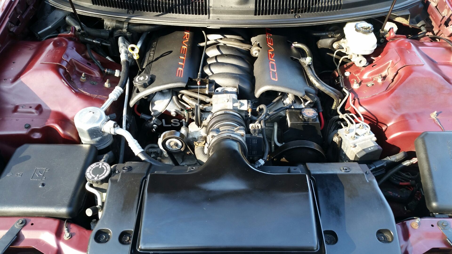 Show us that LS engine bay! - CorvetteForum - Chevrolet Corvette Forum ...