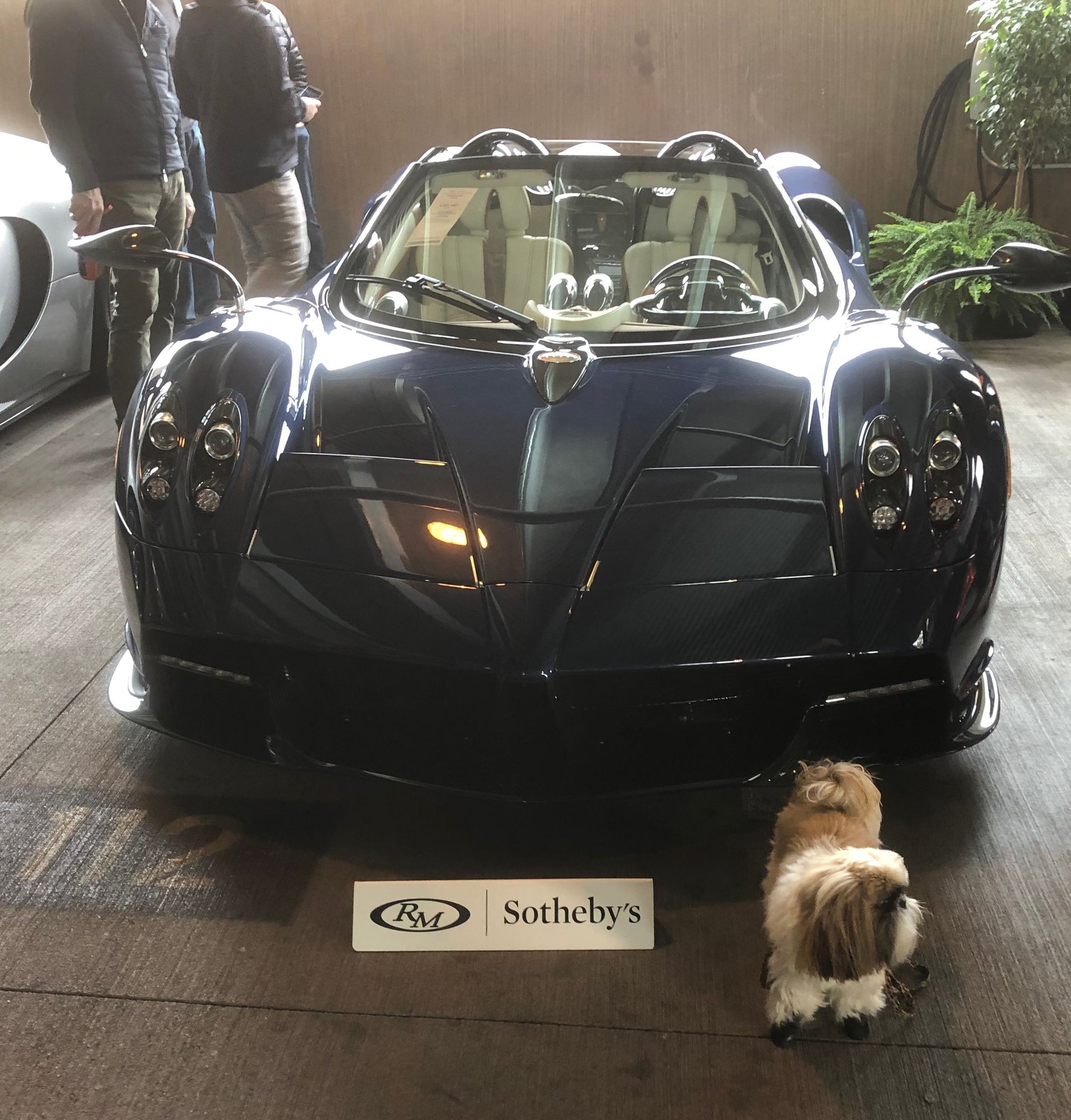 Anyone noticed the similarity of the C8 to the $2.5 million dollar ...