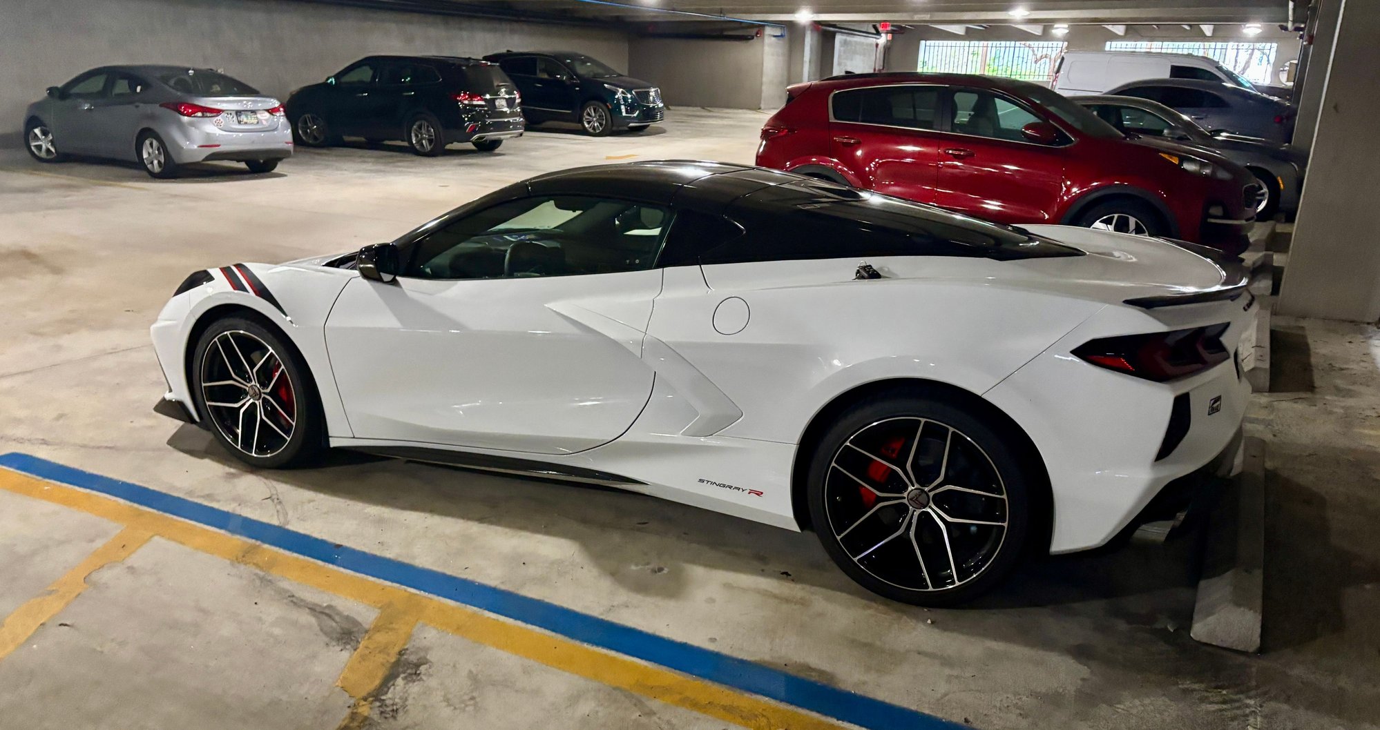 Thinking of wrapping/painting roof carbon flash...opinions ...