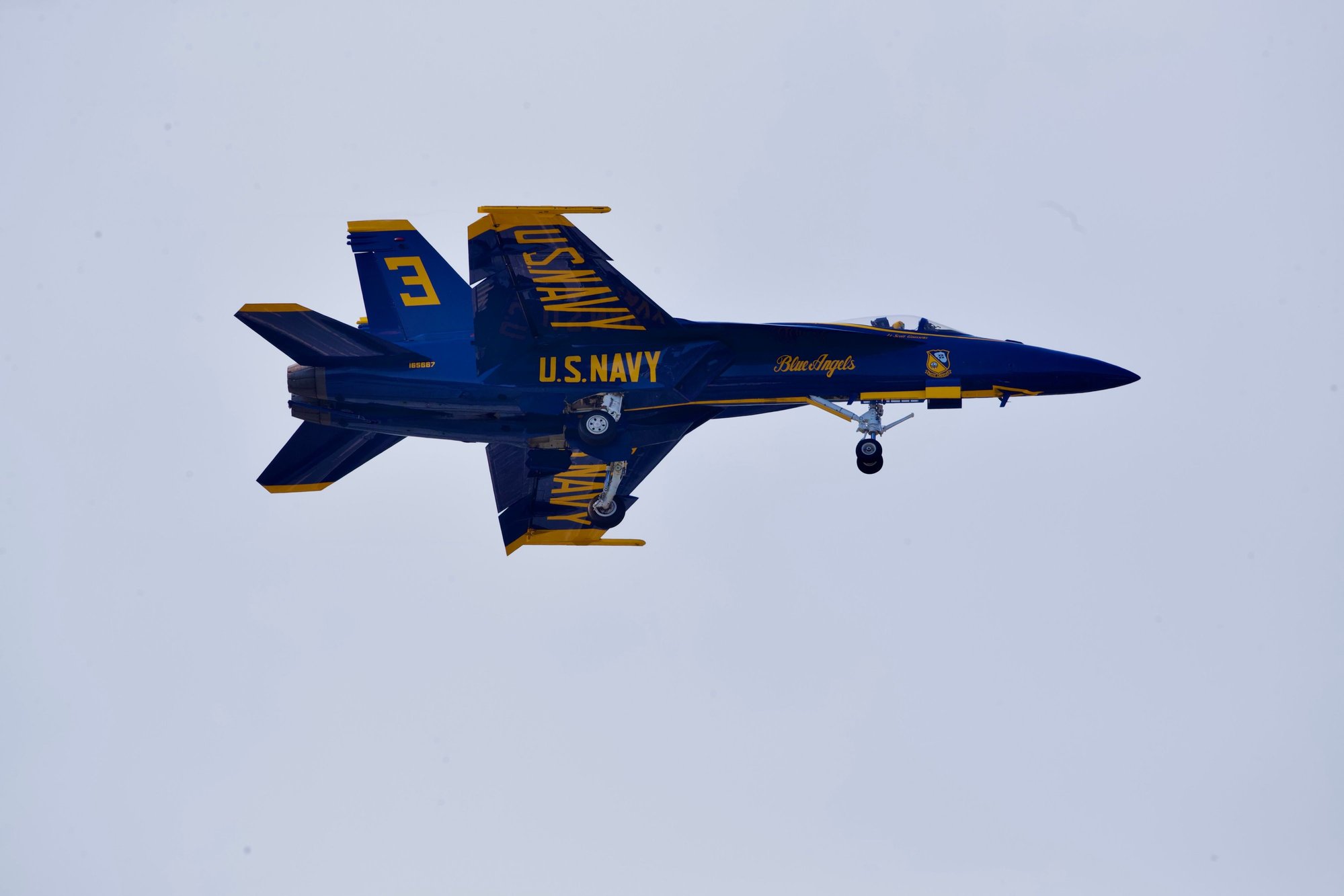 Blue Angels - CorvetteForum - Chevrolet Corvette Forum Discussion