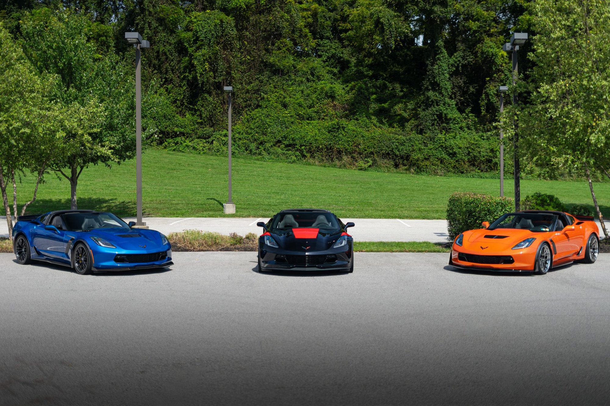 C7 Photoshoot - CorvetteForum - Chevrolet Corvette Forum Discussion