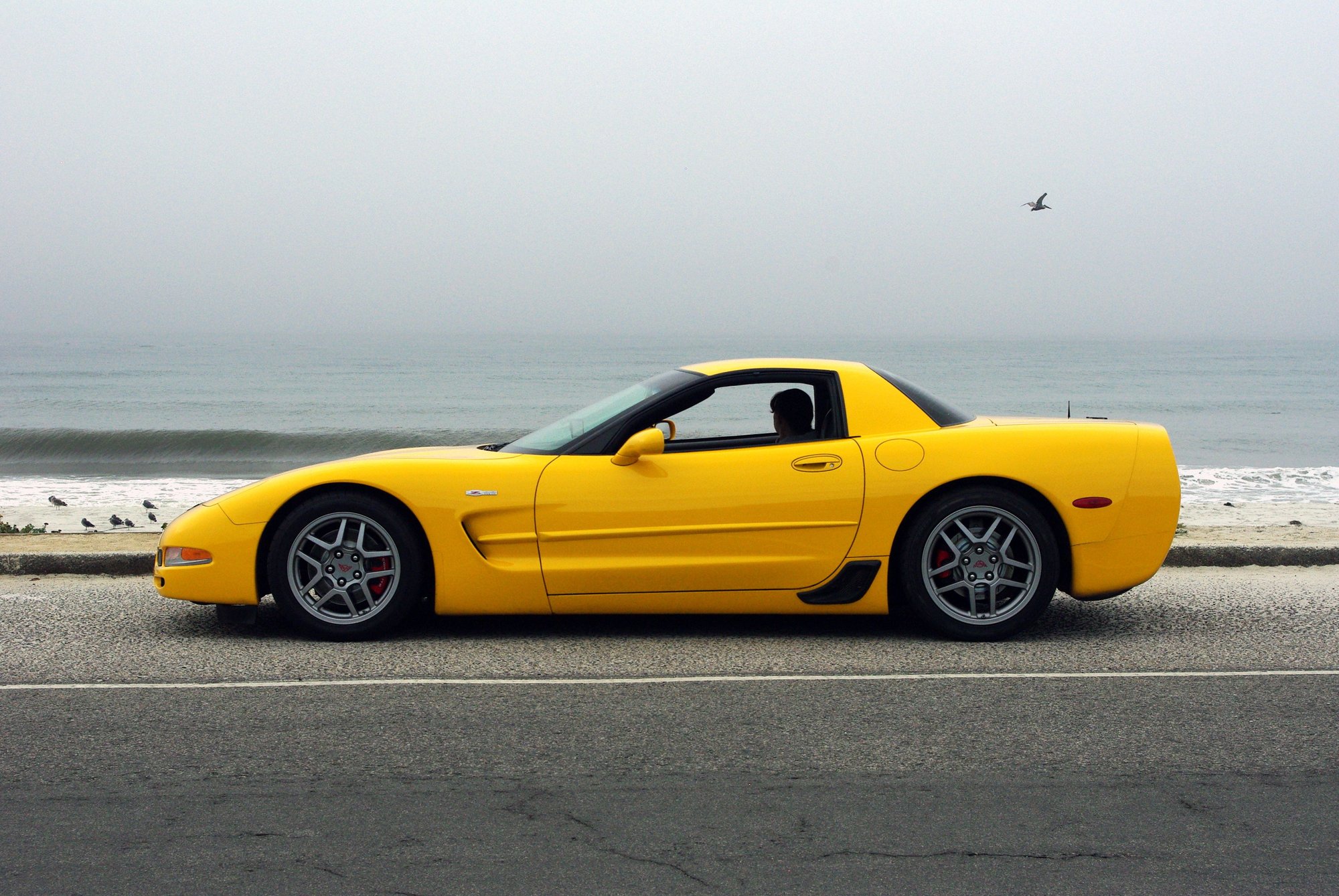 Z06 Delrin Control Arms & DIY Alignment setup, C5 Z06 - CorvetteForum ...