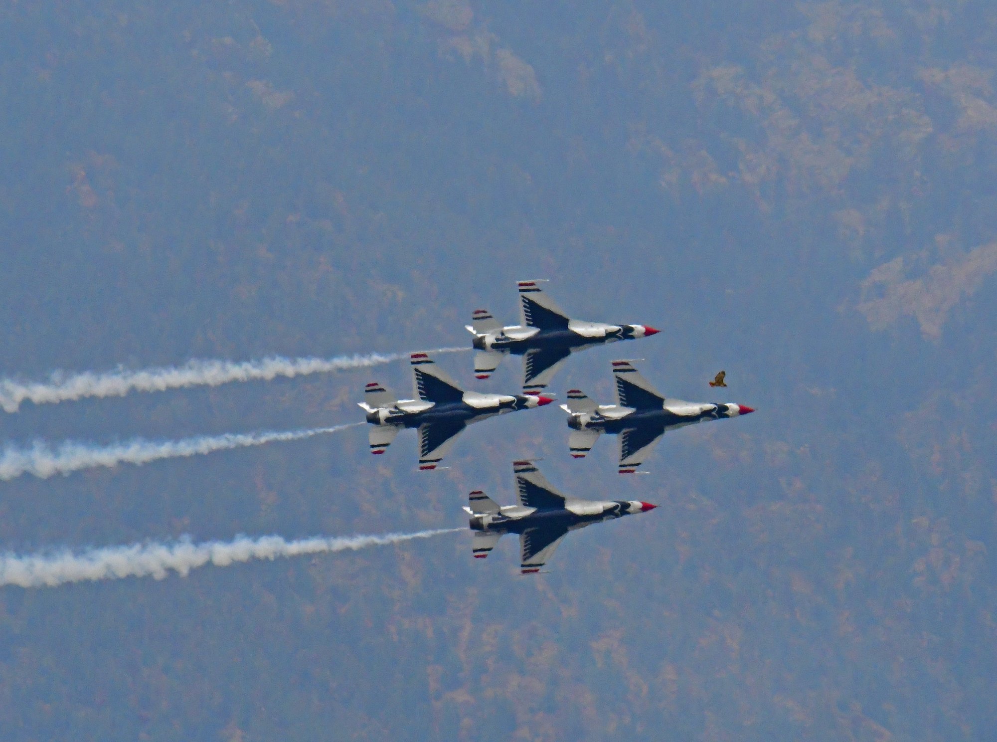 OT - Thunderbirds at AF Academy Graduation - CorvetteForum - Chevrolet ...