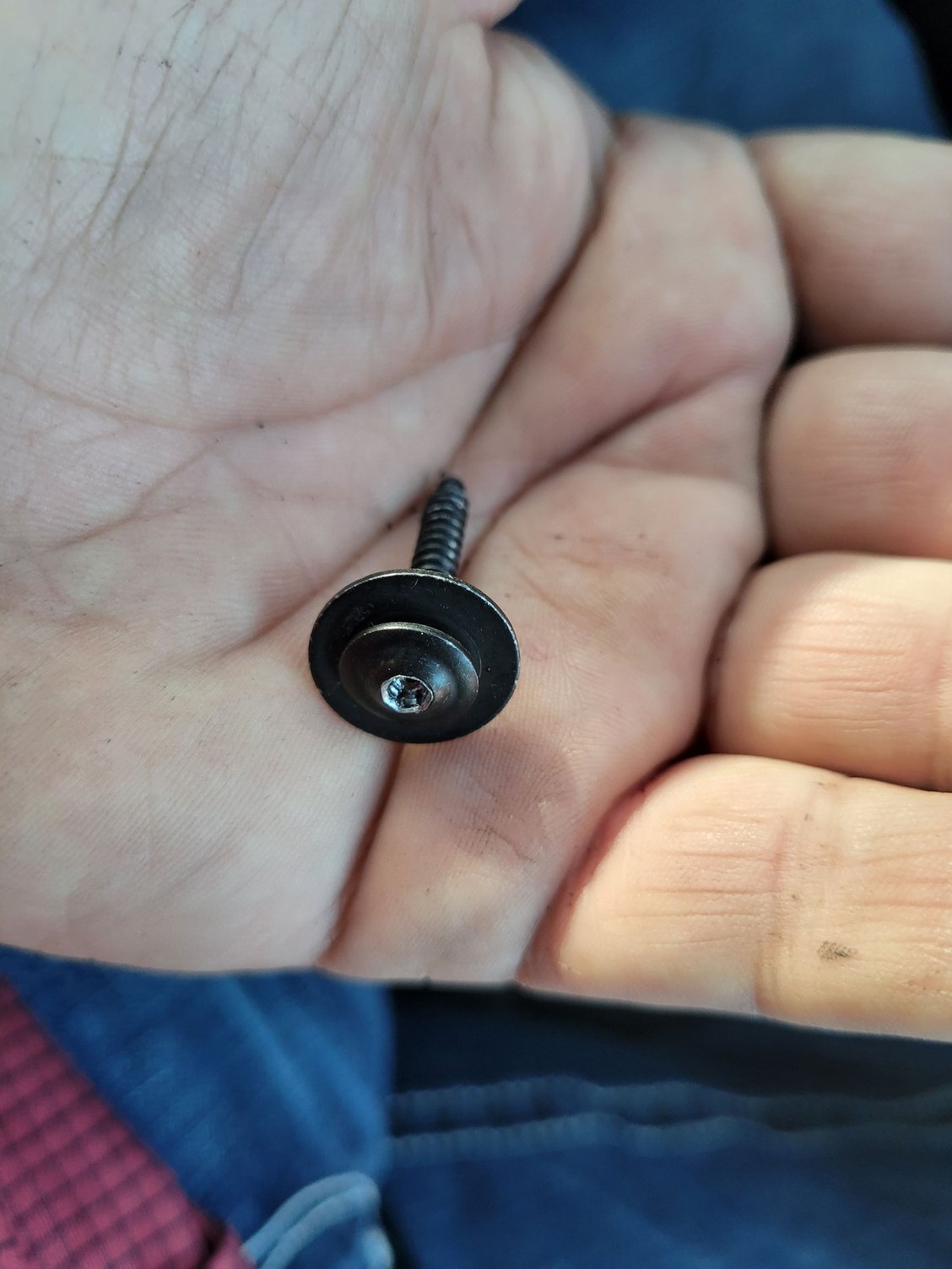 Chevy screw high dollar - CorvetteForum - Chevrolet Corvette Forum ...