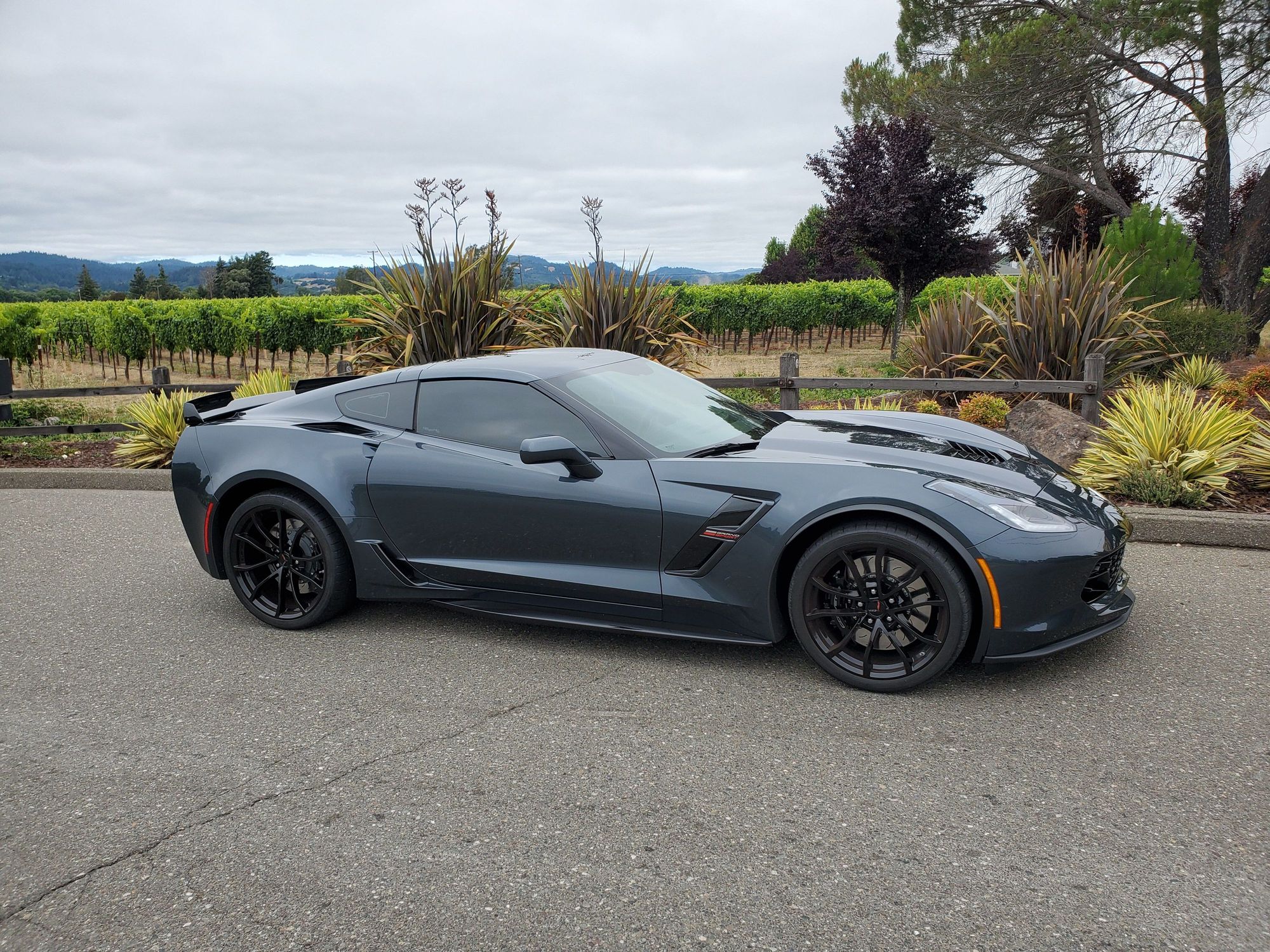 Official Shadow Grey Metallic color thread - Page 7 - CorvetteForum ...
