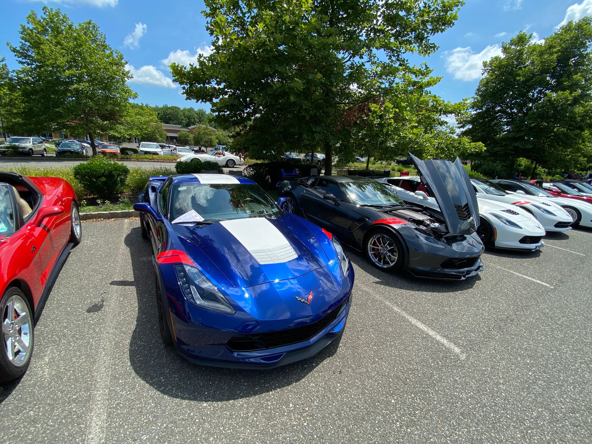 New Jersey Corvette Takeover - Page 2 - CorvetteForum - Chevrolet ...
