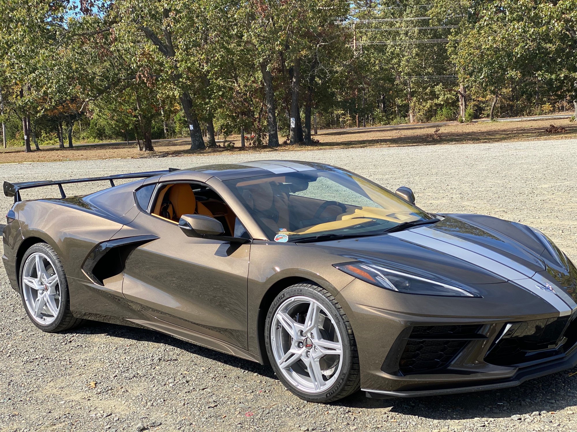 Zeus Bronze Looking Great - CorvetteForum - Chevrolet Corvette Forum ...