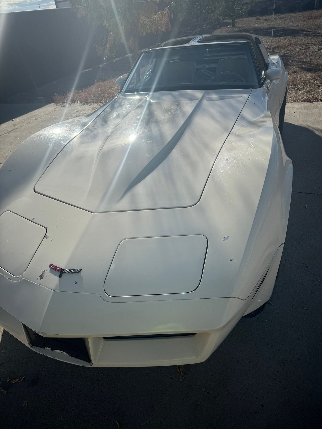 Finally bought a C3! - CorvetteForum - Chevrolet Corvette Forum Discussion