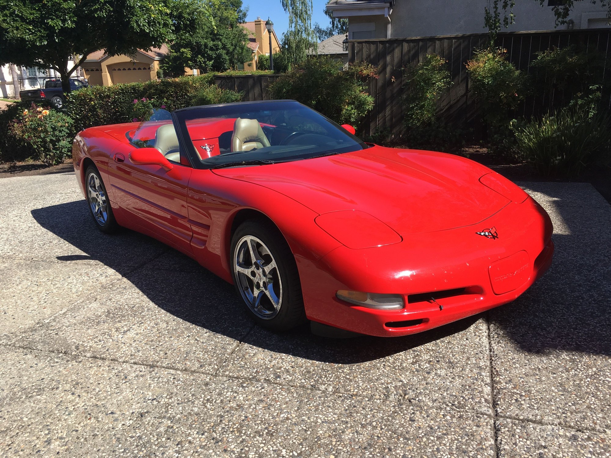 I LOVE Vette Pics, Post yours here! - Page 273 - CorvetteForum ...
