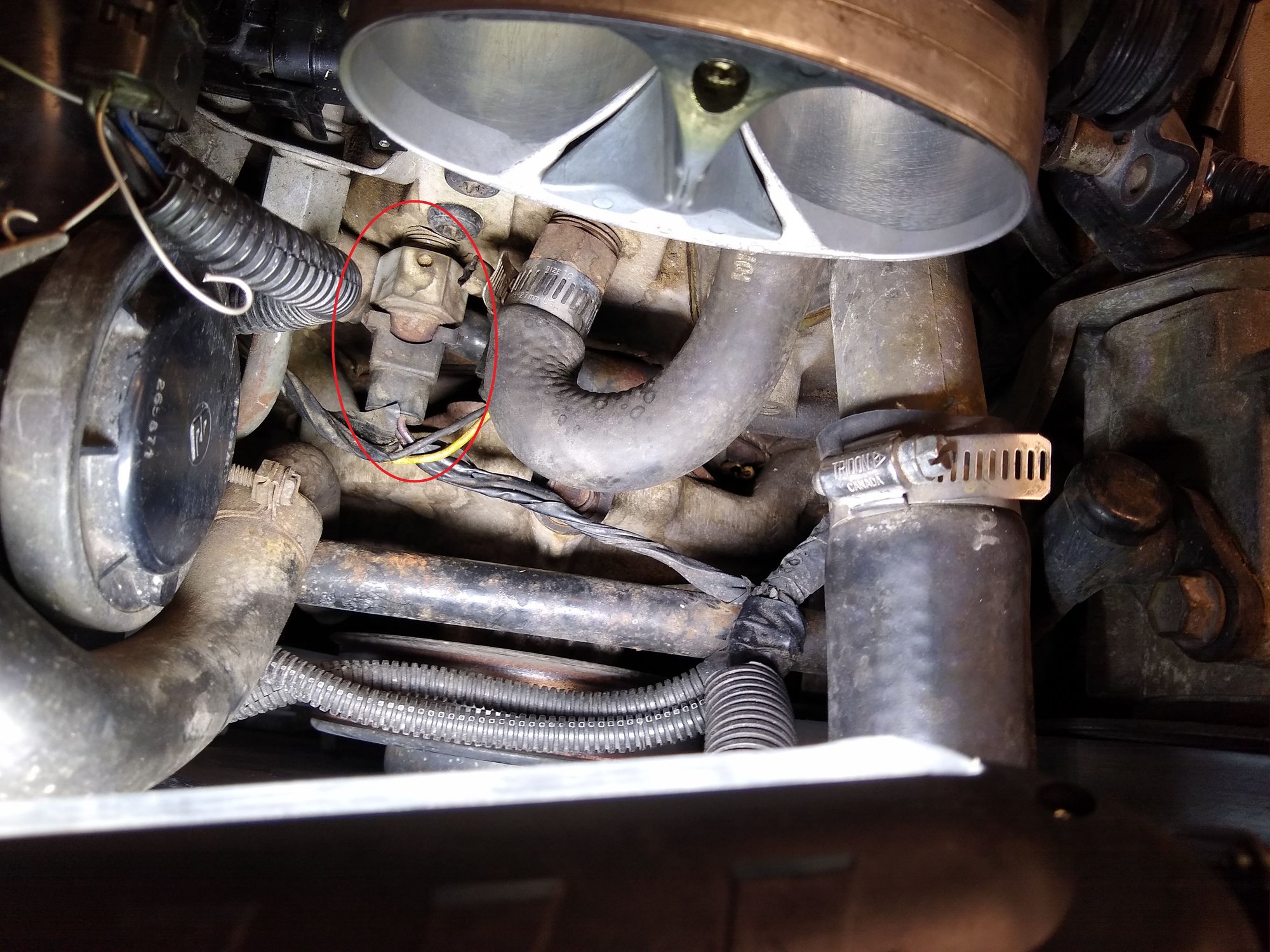 Temp sensors? - CorvetteForum - Chevrolet Corvette Forum Discussion