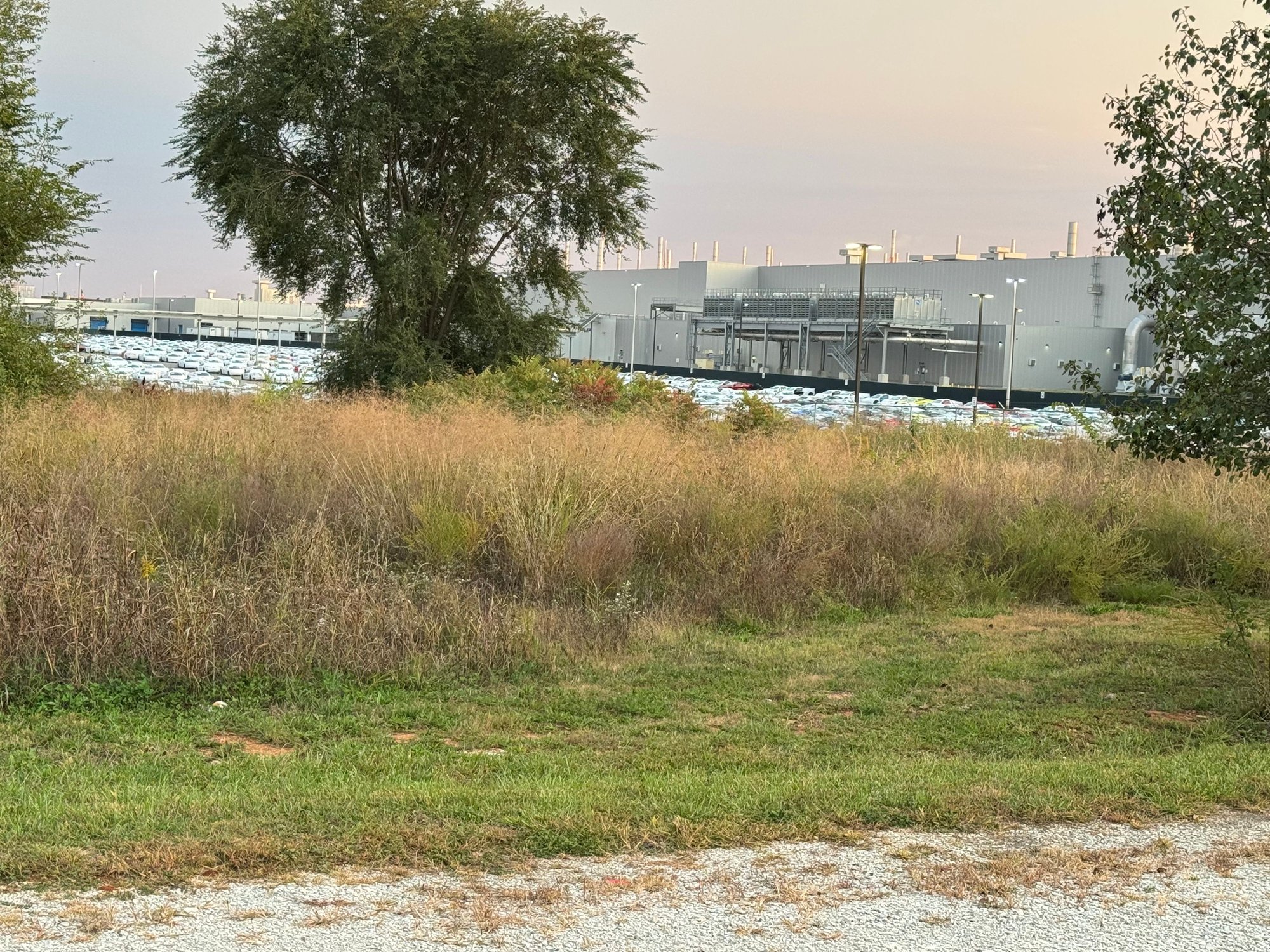 I Have Never Seen the BG Factory Lot so Crammed with cars ...