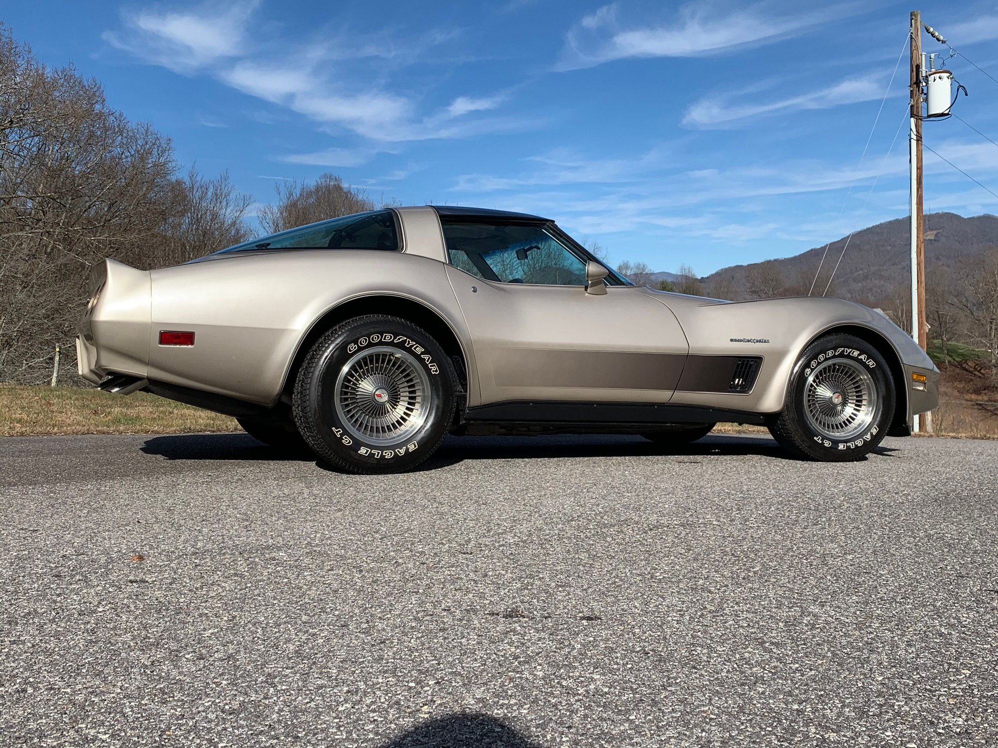FS (For Sale) 1982 Collector Edition - CorvetteForum - Chevrolet ...