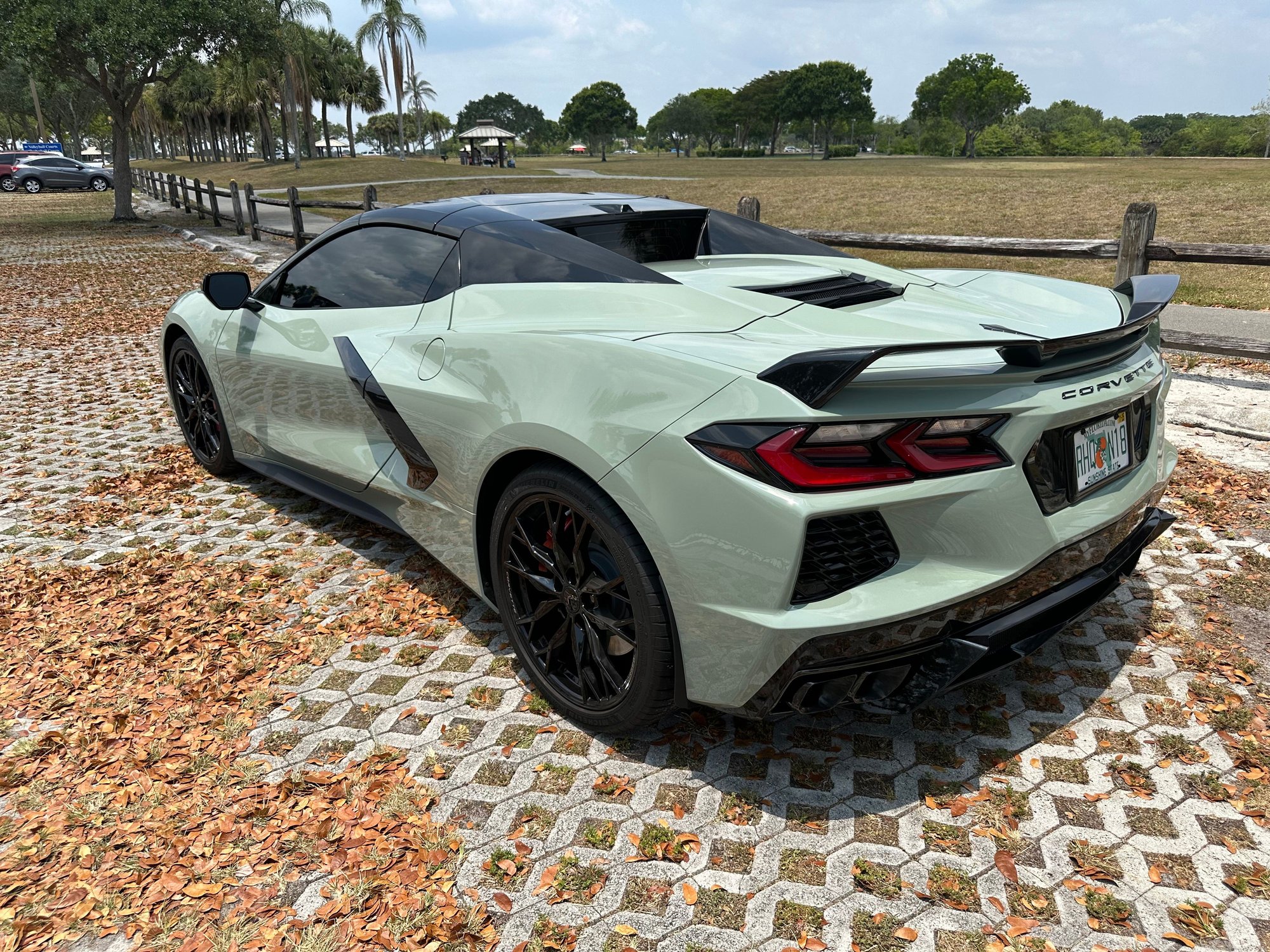 Cacti green is total class! - Page 6 - CorvetteForum - Chevrolet ...