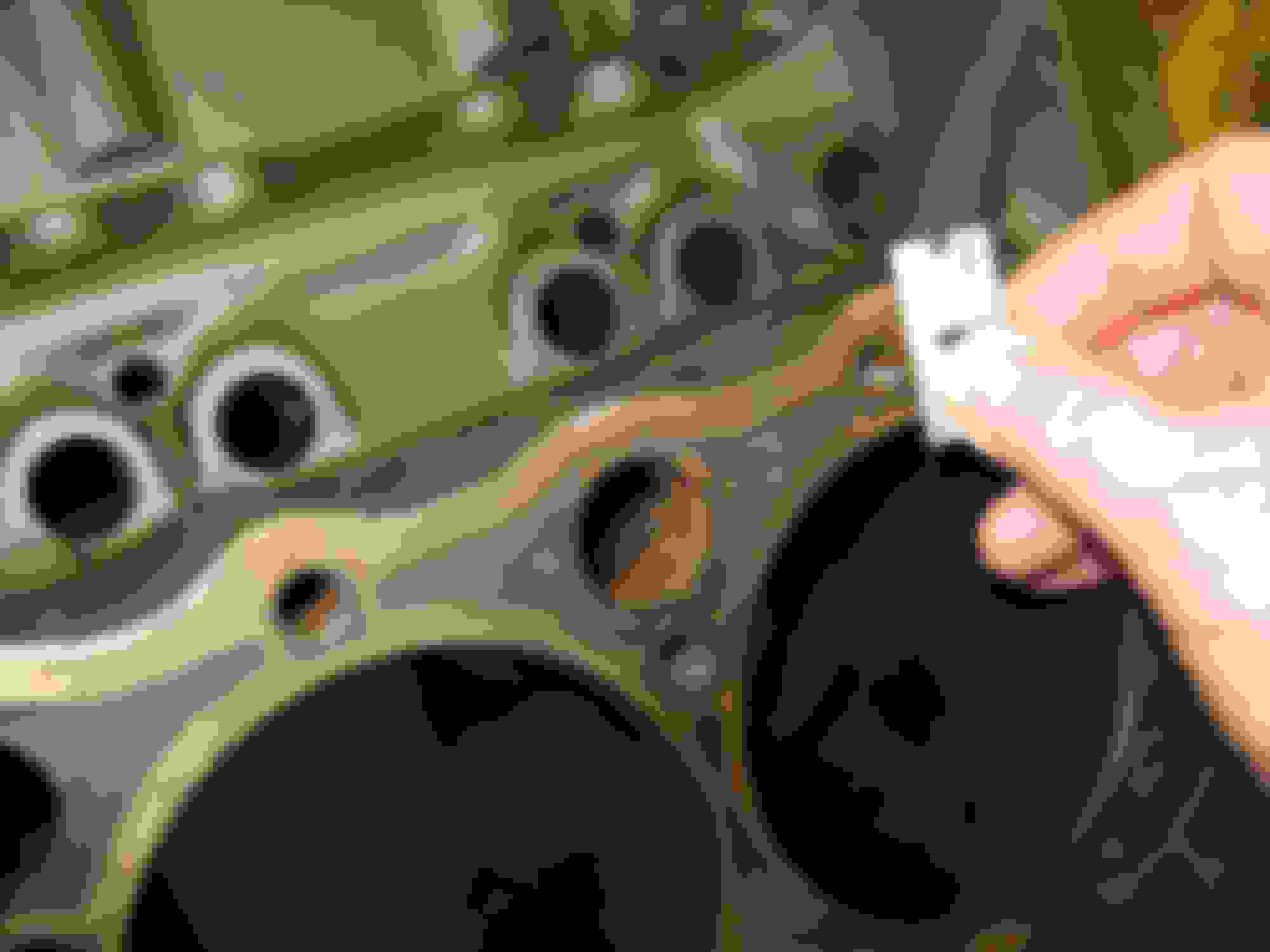 Let's freshen up an L82 engine at home - Page 2 - CorvetteForum ...