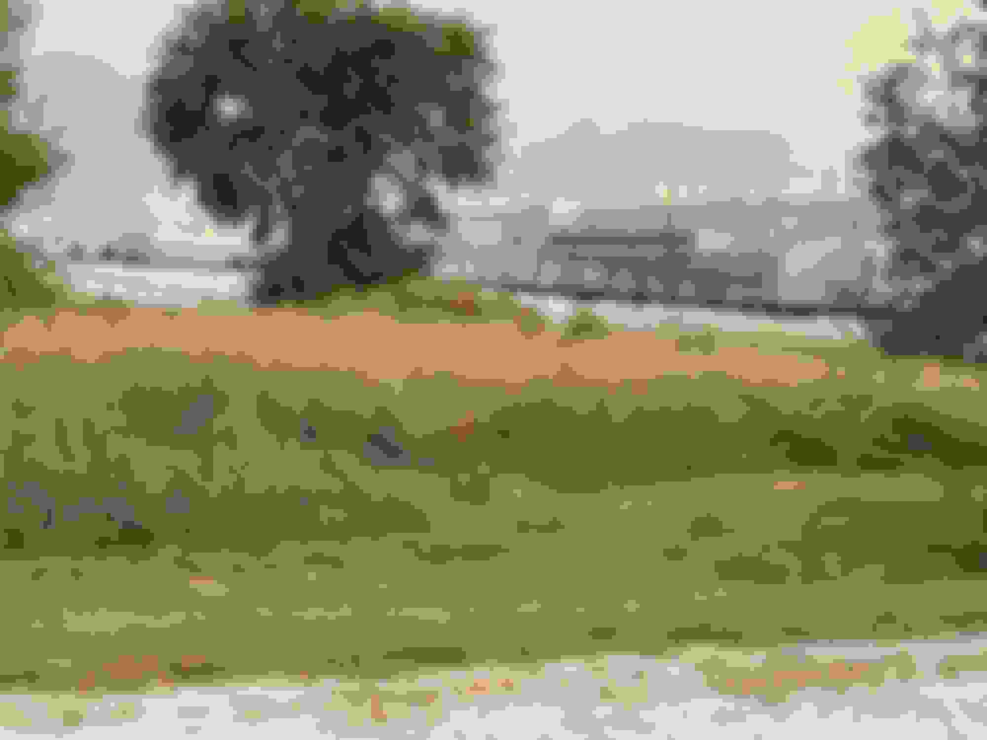 I Have Never Seen the BG Factory Lot so Crammed with cars ...