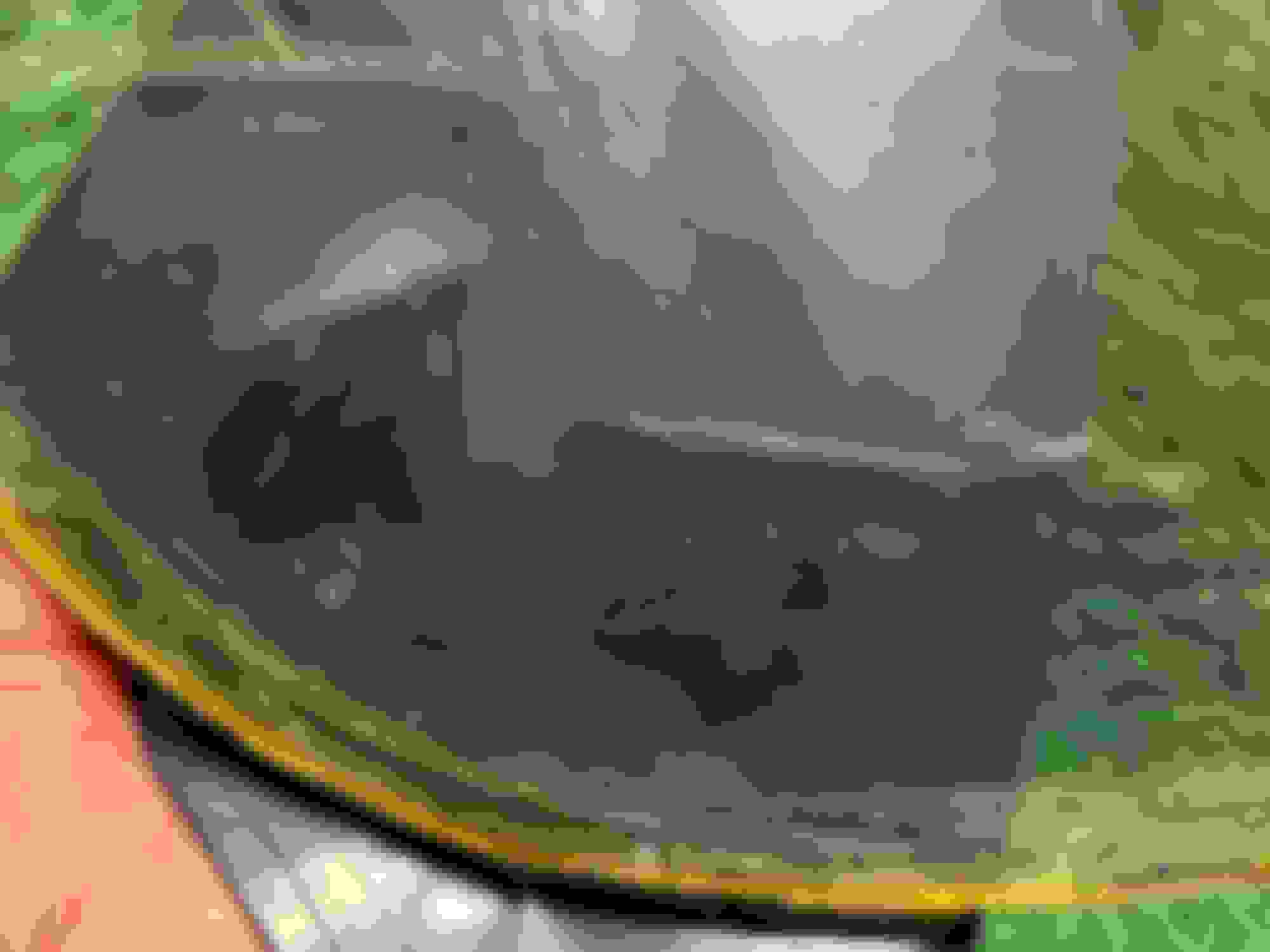 FS (For Sale) 1967 original GM LOF glass set M3 winshield M51 side ...