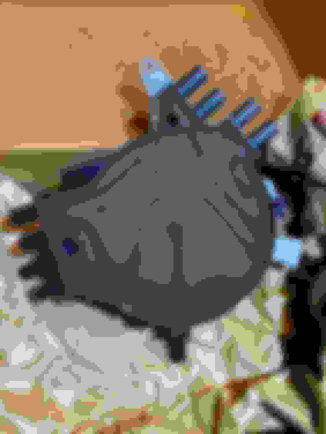 FS (For Sale) Kent-Moore LT1 CRANKSHAFT HUB REMOVER & INSTALLER KIT" J ...