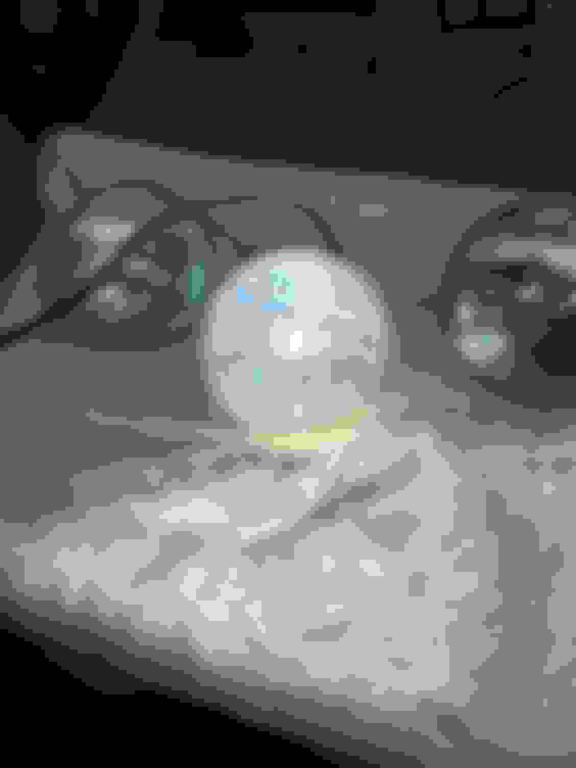 FS (For Sale) T3 bulbs 60 to 67 no lines in triangle 2 prongs ...