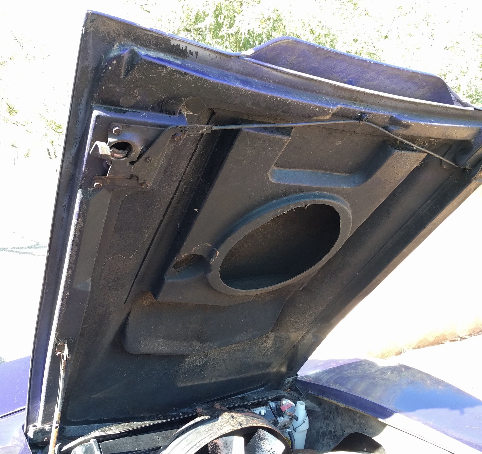 C3 hood and Big block - CorvetteForum - Chevrolet Corvette Forum Discussion