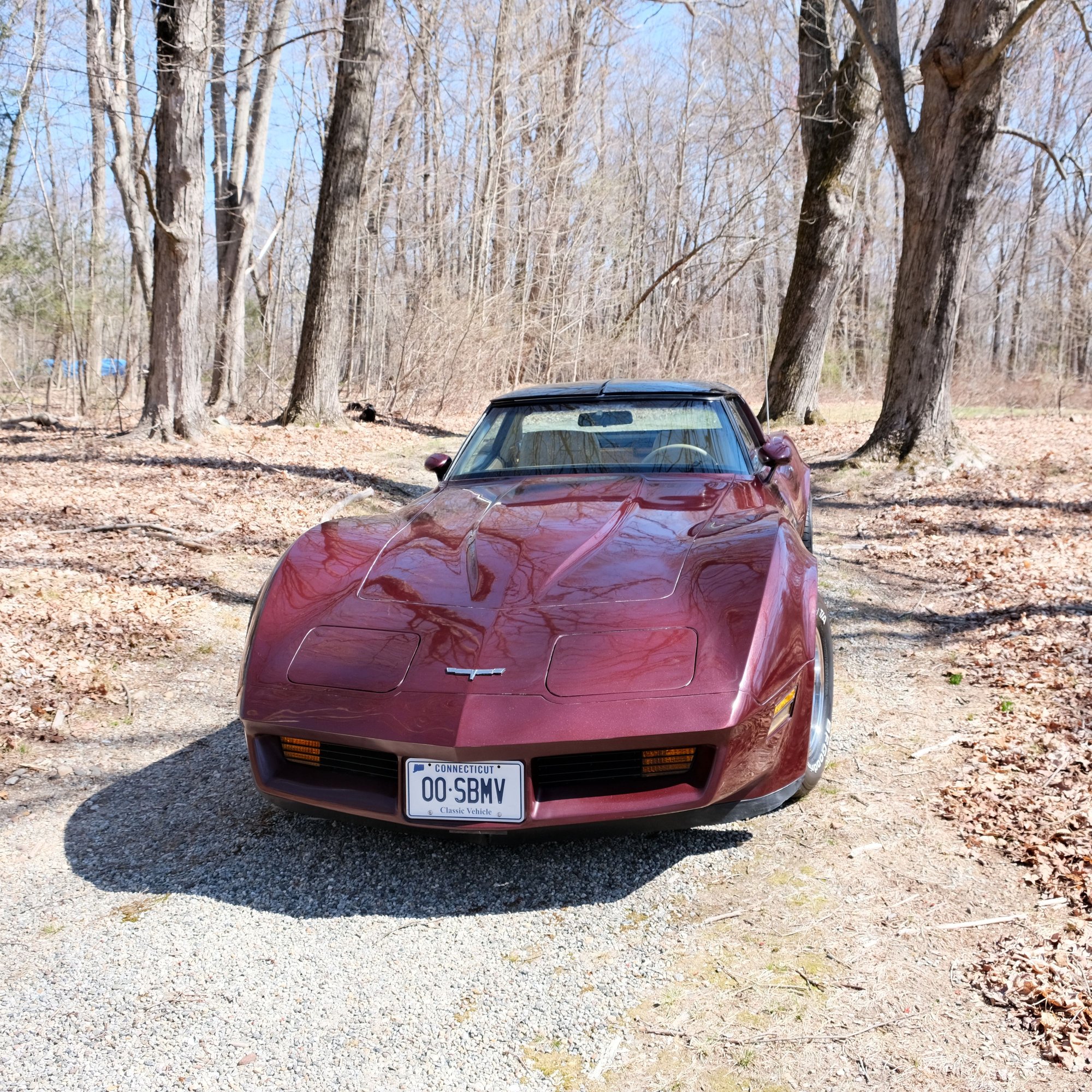 SOLD : 1980 Corvette L48 - 18K Original Miles - $16,750 - CorvetteForum ...