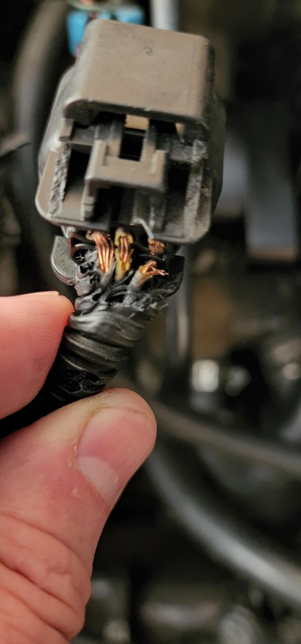 P2135&P2176&P060E best source for parts? - CorvetteForum - Chevrolet ...