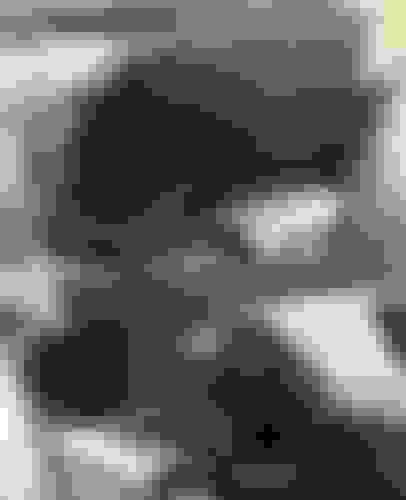 Carbon Fiber Dash Speedometer Trim Covers for 2014-2019 C7 Corvette ...