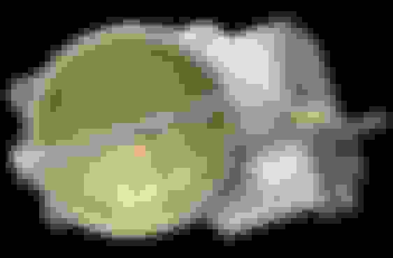 Soler Performance – C8 ERay Upgrades - CorvetteForum - Chevrolet ...