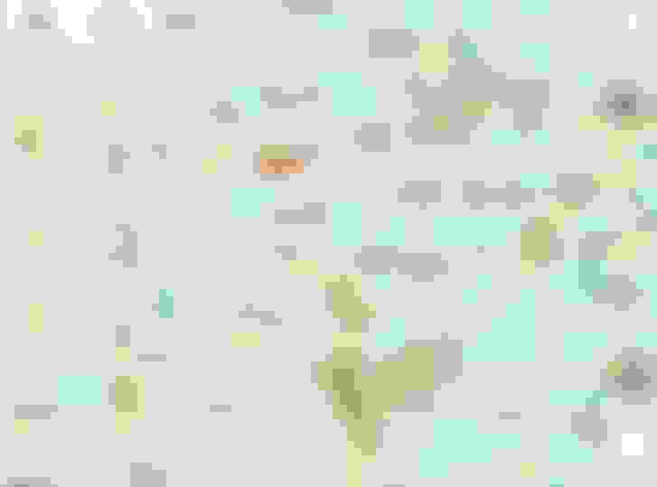 C2 I don't know what kind of fuel/gas to use in my car. Can you help me ...