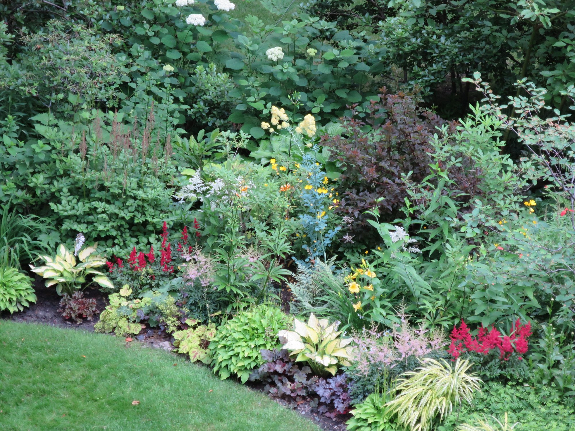 astilbe, heuchera, hosta, phys... photo by bottlegreen on Garden Showcase