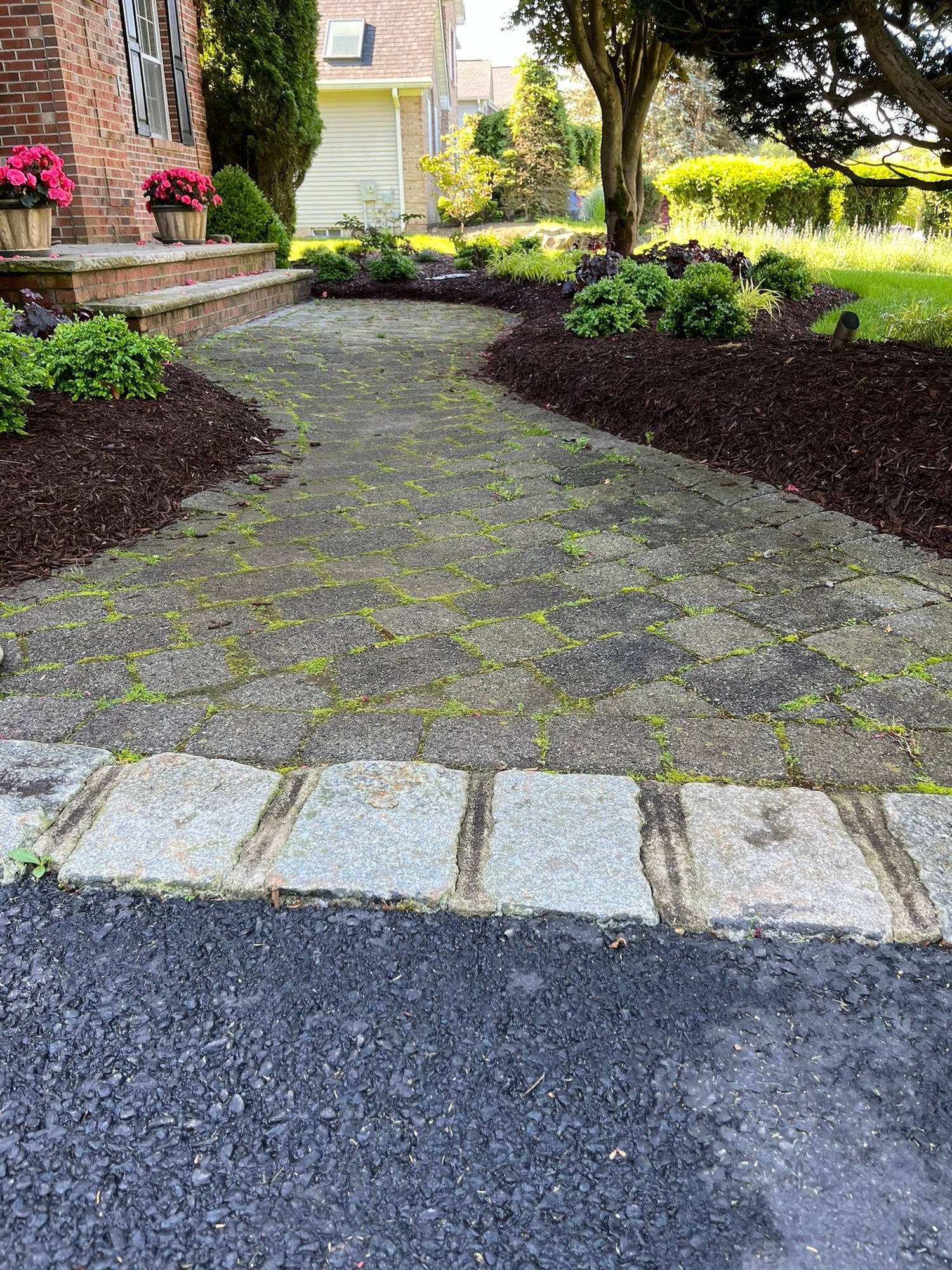 Moss On Pavers w/ new polymorphic sand - DoItYourself.com Community Forums