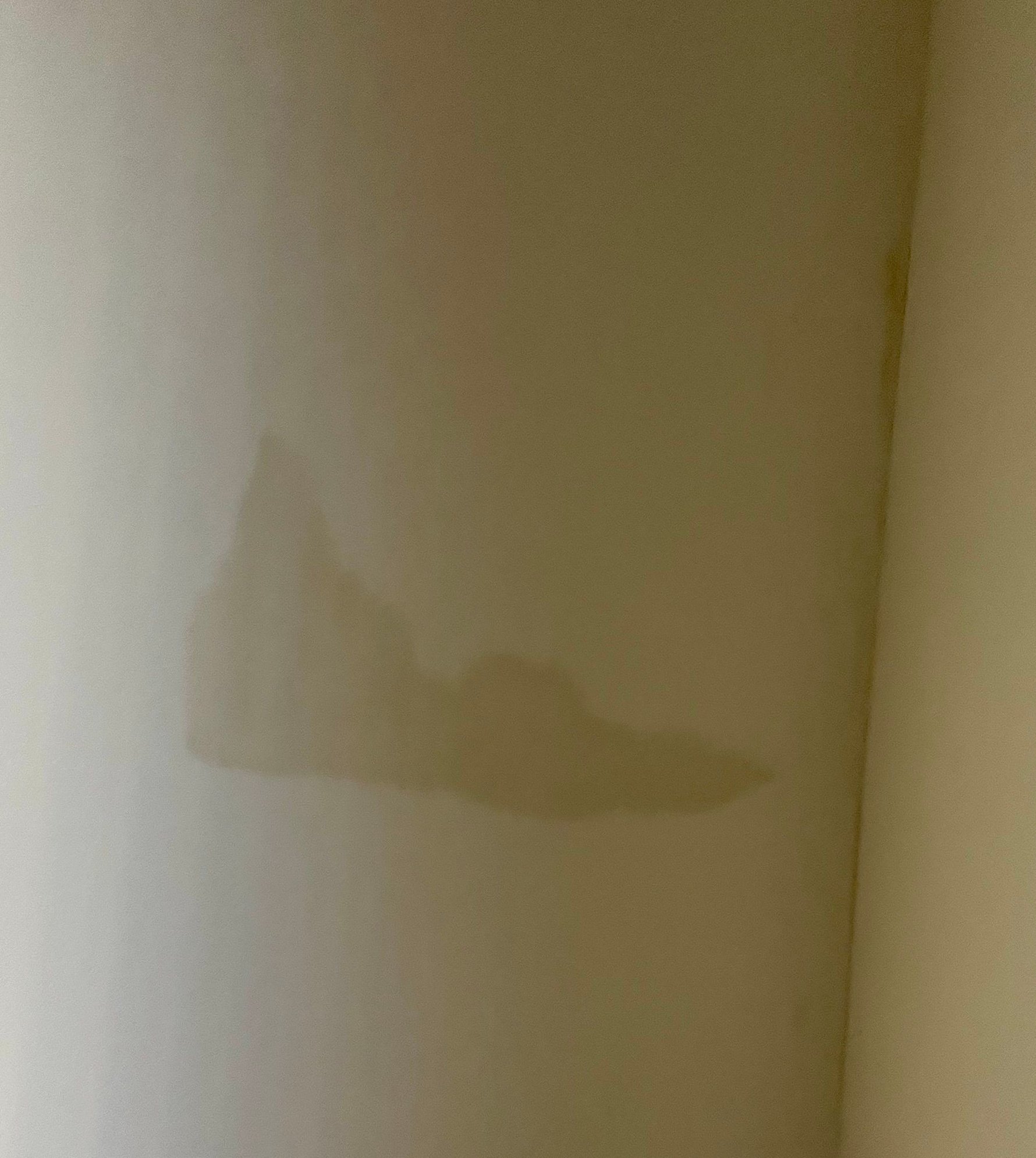 Water stain? - DoItYourself.com Community Forums