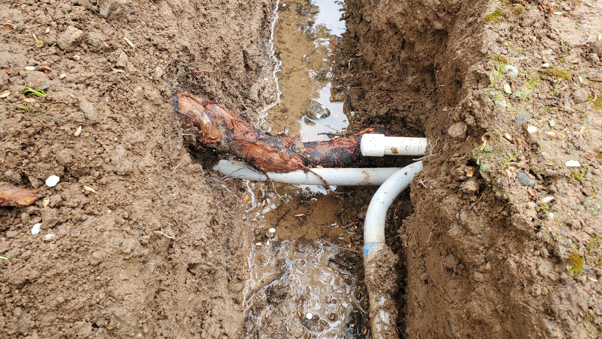 Drain Pipe and Electrical Lines - DoItYourself.com Community Forums