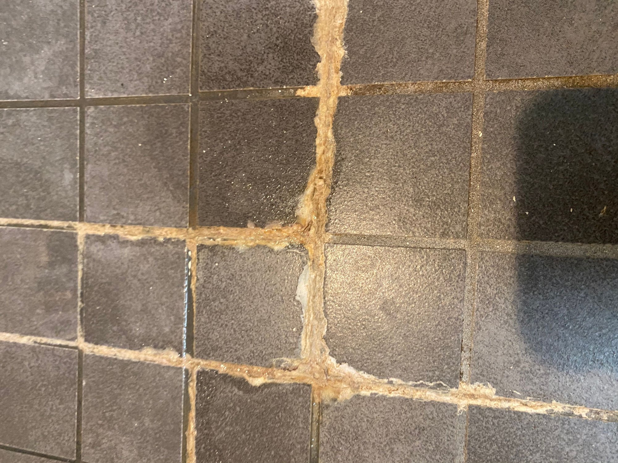 Grout damaged- regrout or retile? - DoItYourself.com Community Forums